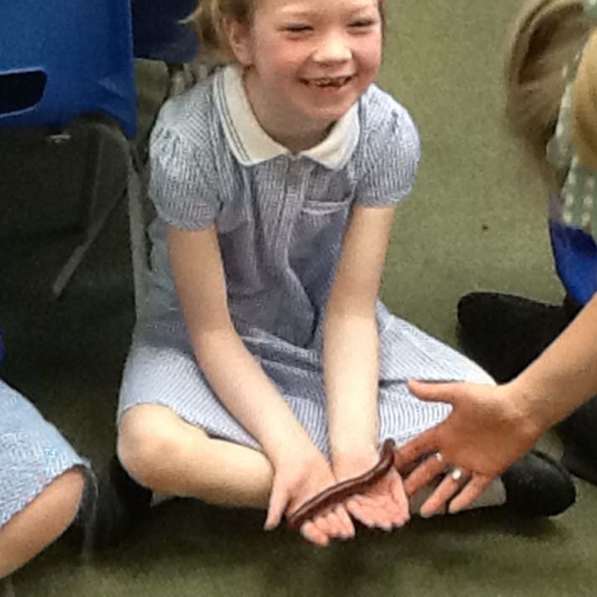 Great Hollands Primary School - Zoolab